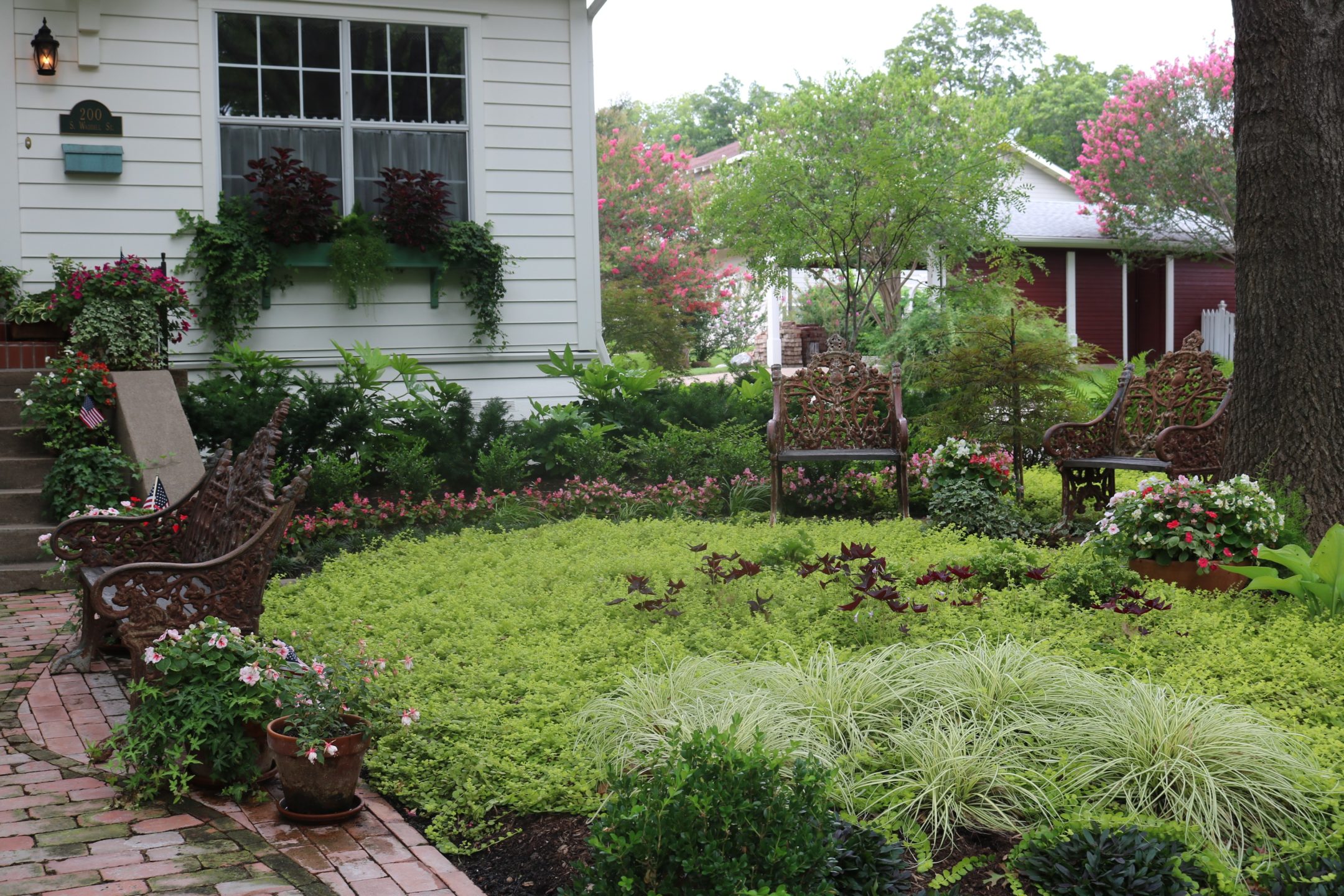 Cottage Front Yard Renovation – Before and After – Great Gardens, Inc.